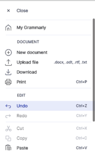 How To Undo In Grammarly (Different Methods)